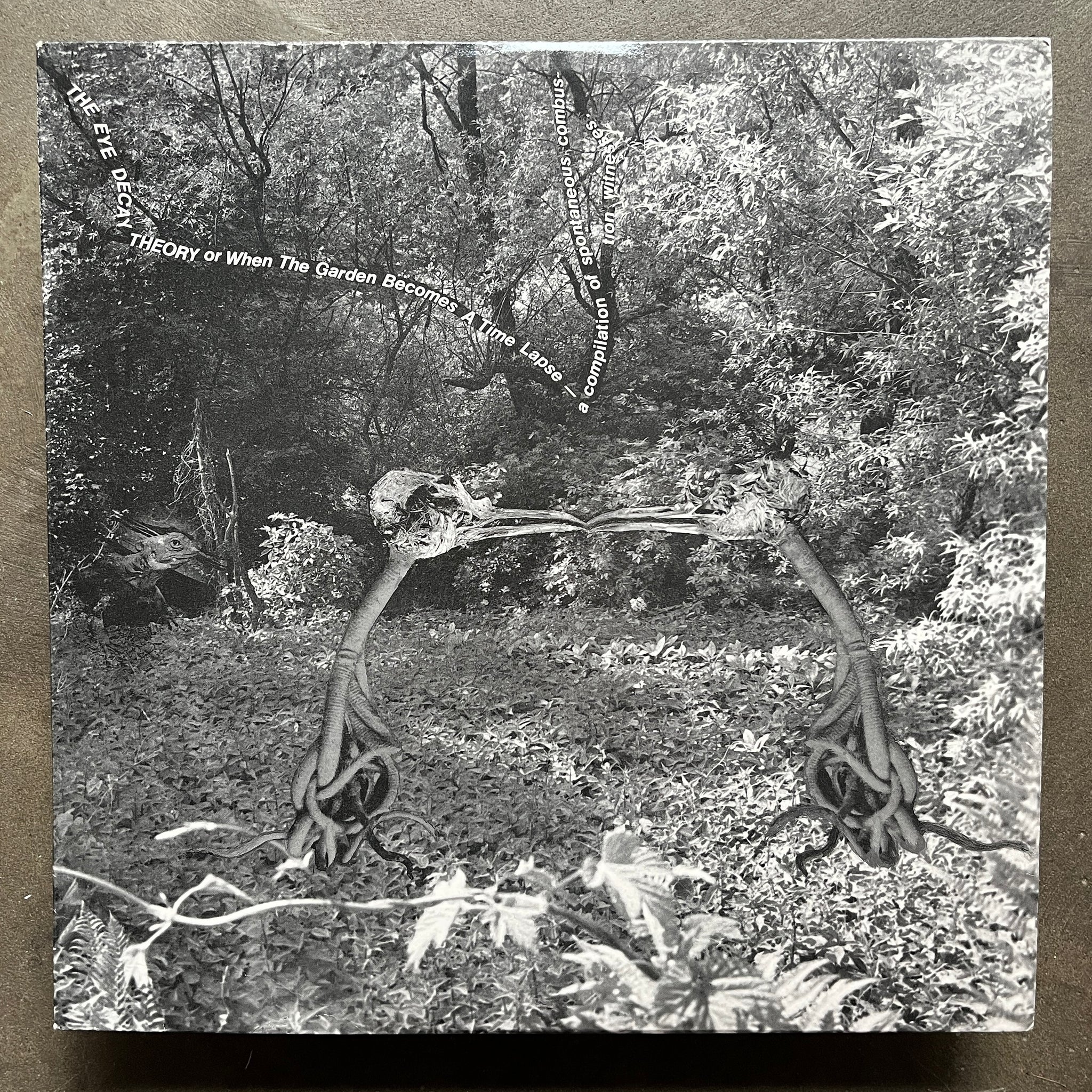 Various – The Eye Decay Theory Or When The Garden Becomes A Time Lapse ...