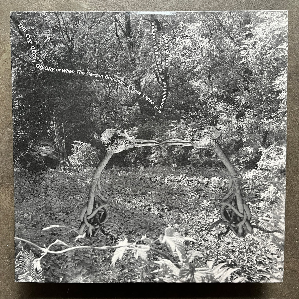 Various – The Eye Decay Theory Or When The Garden Becomes A Time Lapse ...