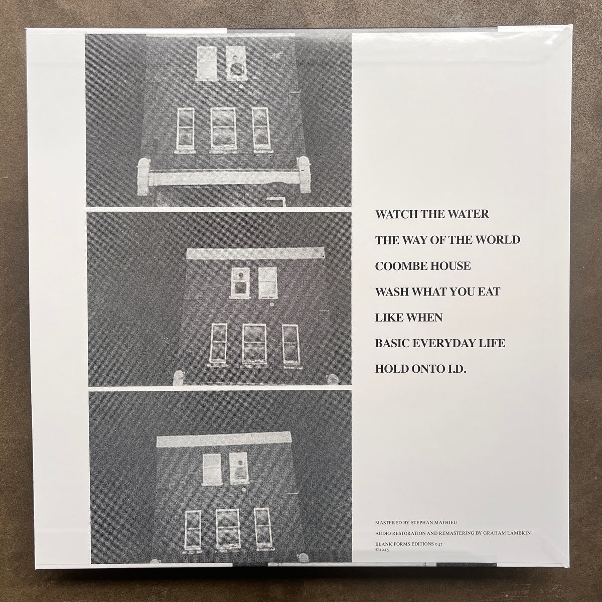 The Shadow Ring – Hold Onto I.D. – All Night Flight Records