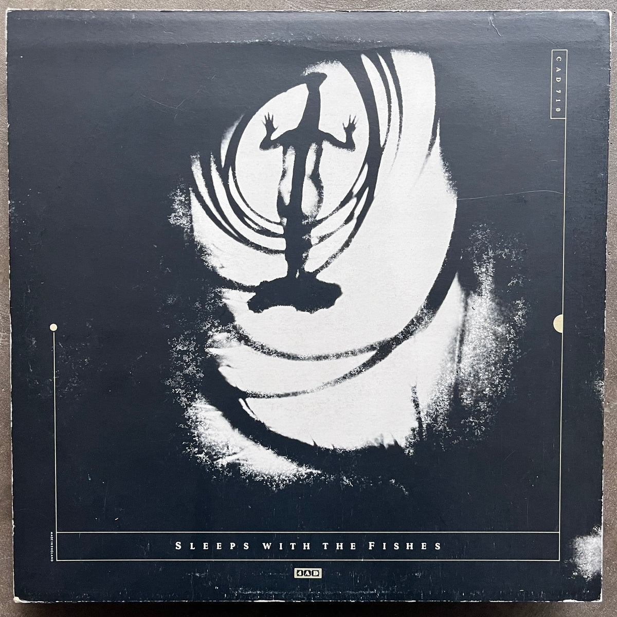 Pieter Nooten Michael Brook Sleeps With The Fishes All Night