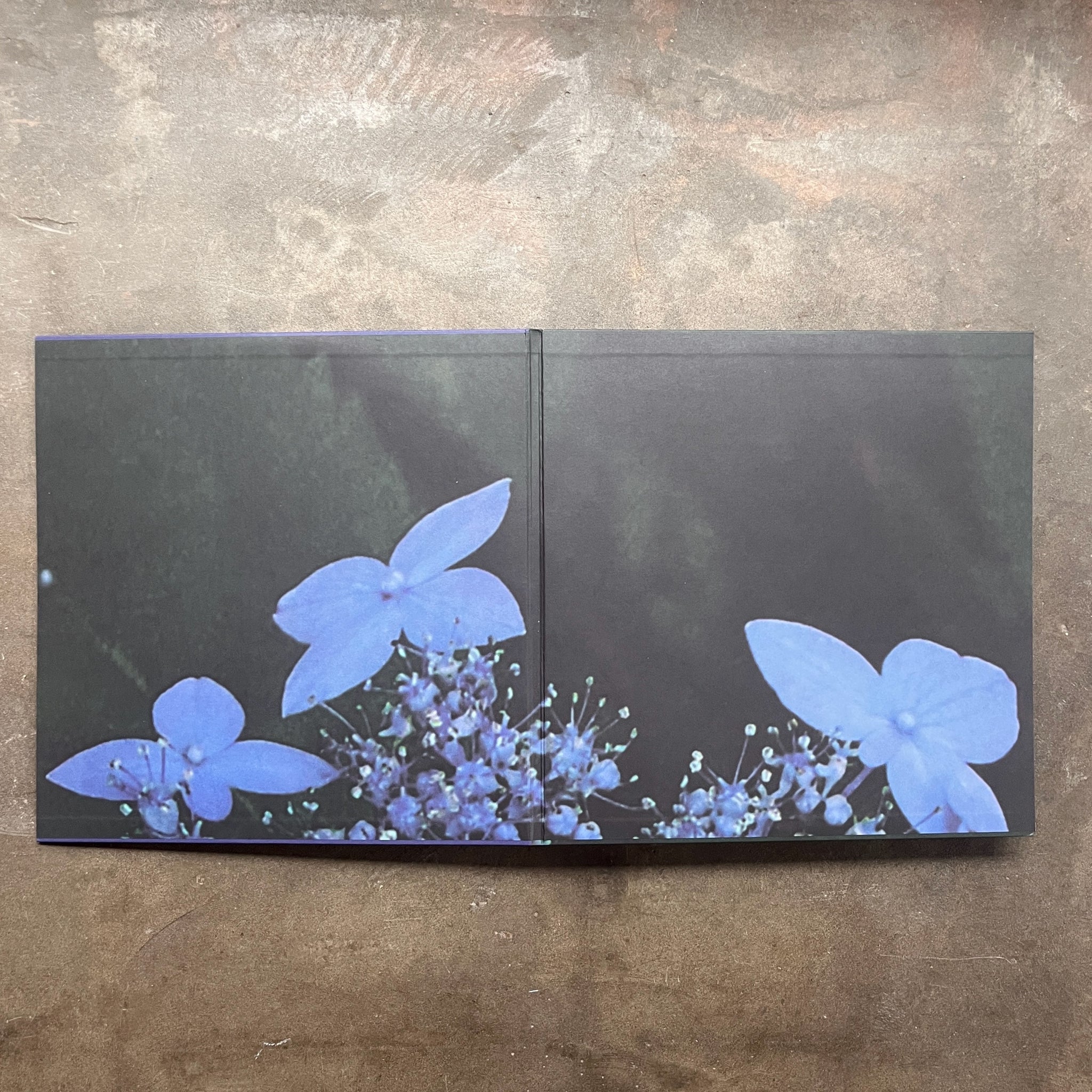 Naoki Zushi = 頭士奈生樹 – III – All Night Flight Records