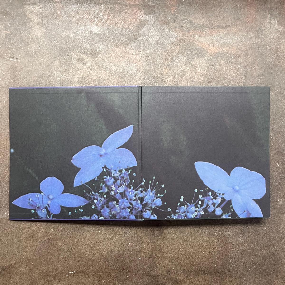 Naoki Zushi = 頭士奈生樹 – III – All Night Flight Records