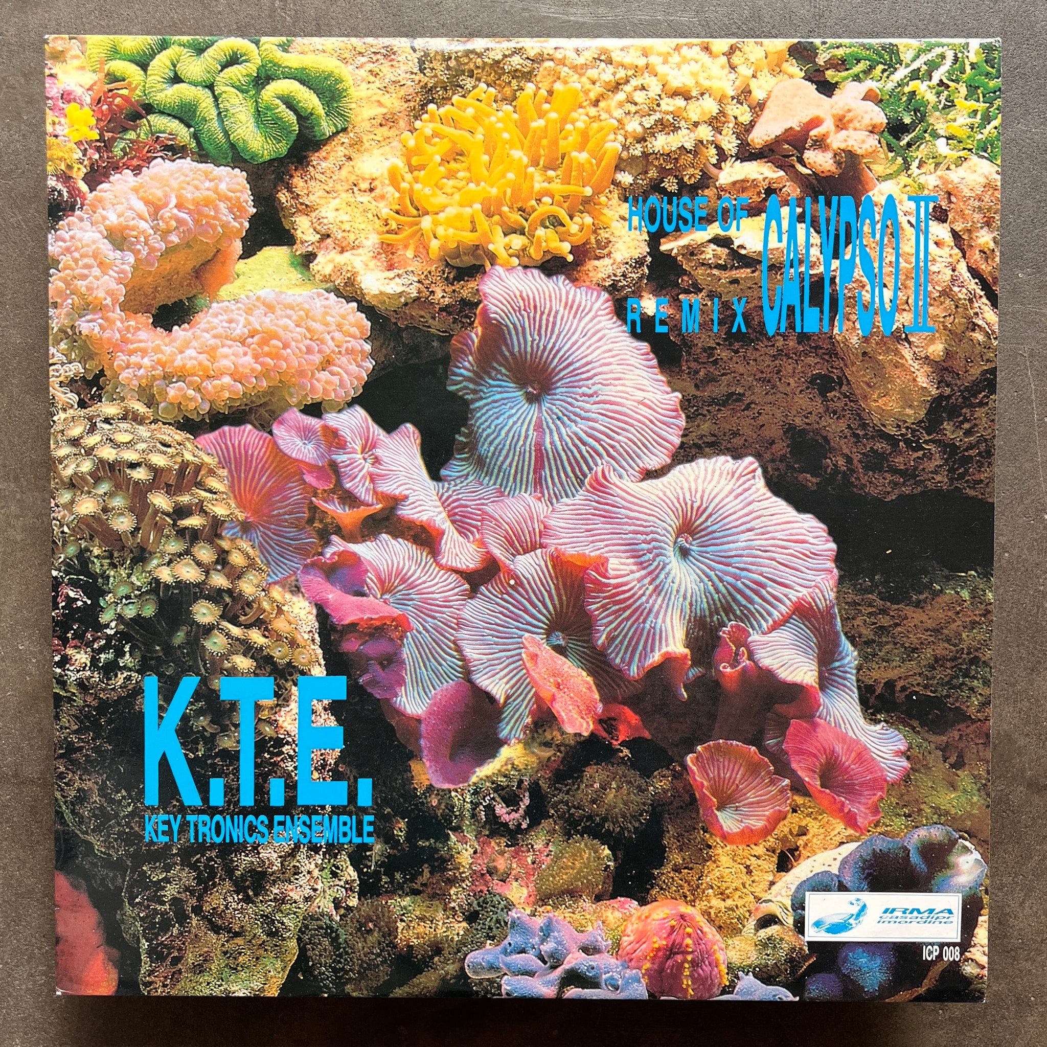 Key Tronics Ensemble – House Of Calypso II Remix – All Night Flight Records