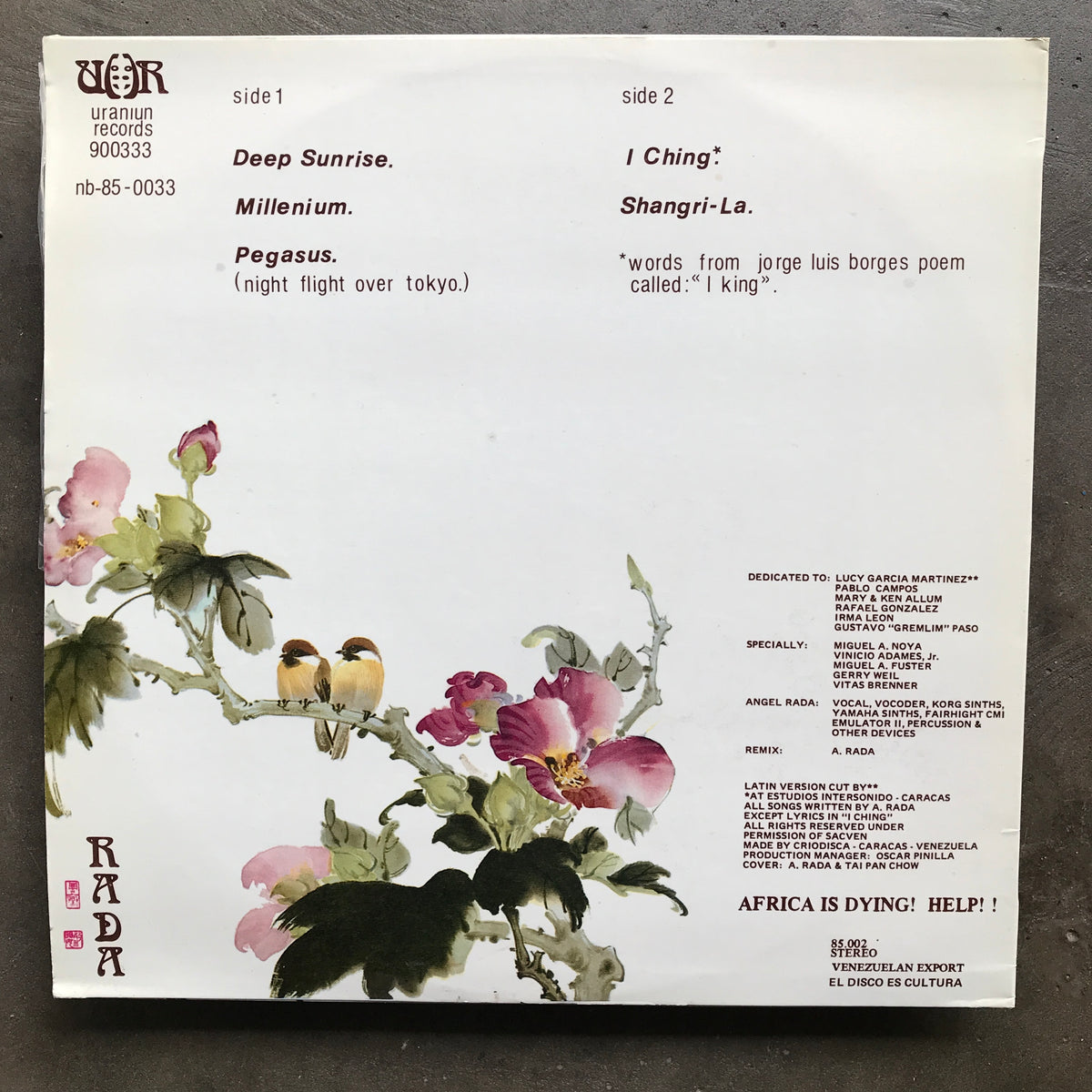 Angel Rada – Solar Concert For Bhagavan – All Night Flight Records