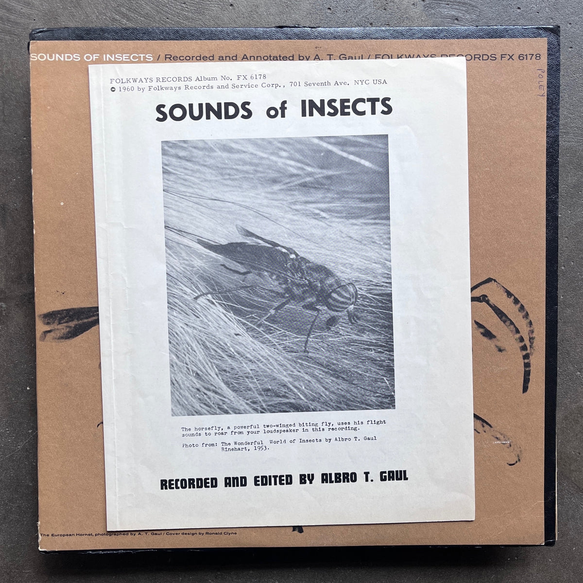 No Artist – Sounds Of Insects – All Night Flight Records