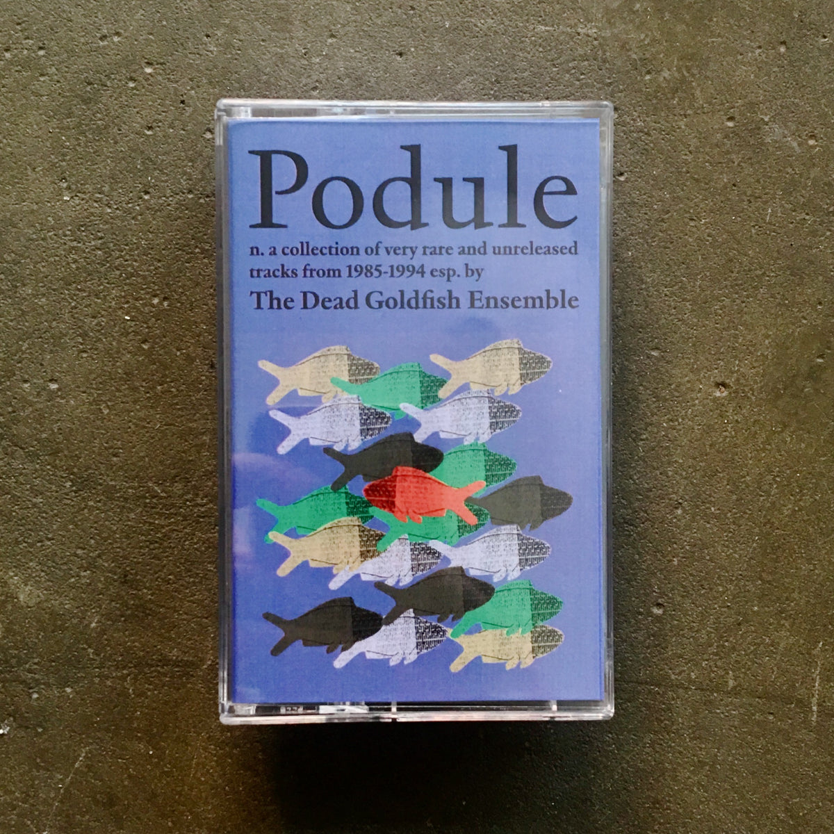 The Dead Goldfish Ensemble - Podule - a collection of very rare and un ...