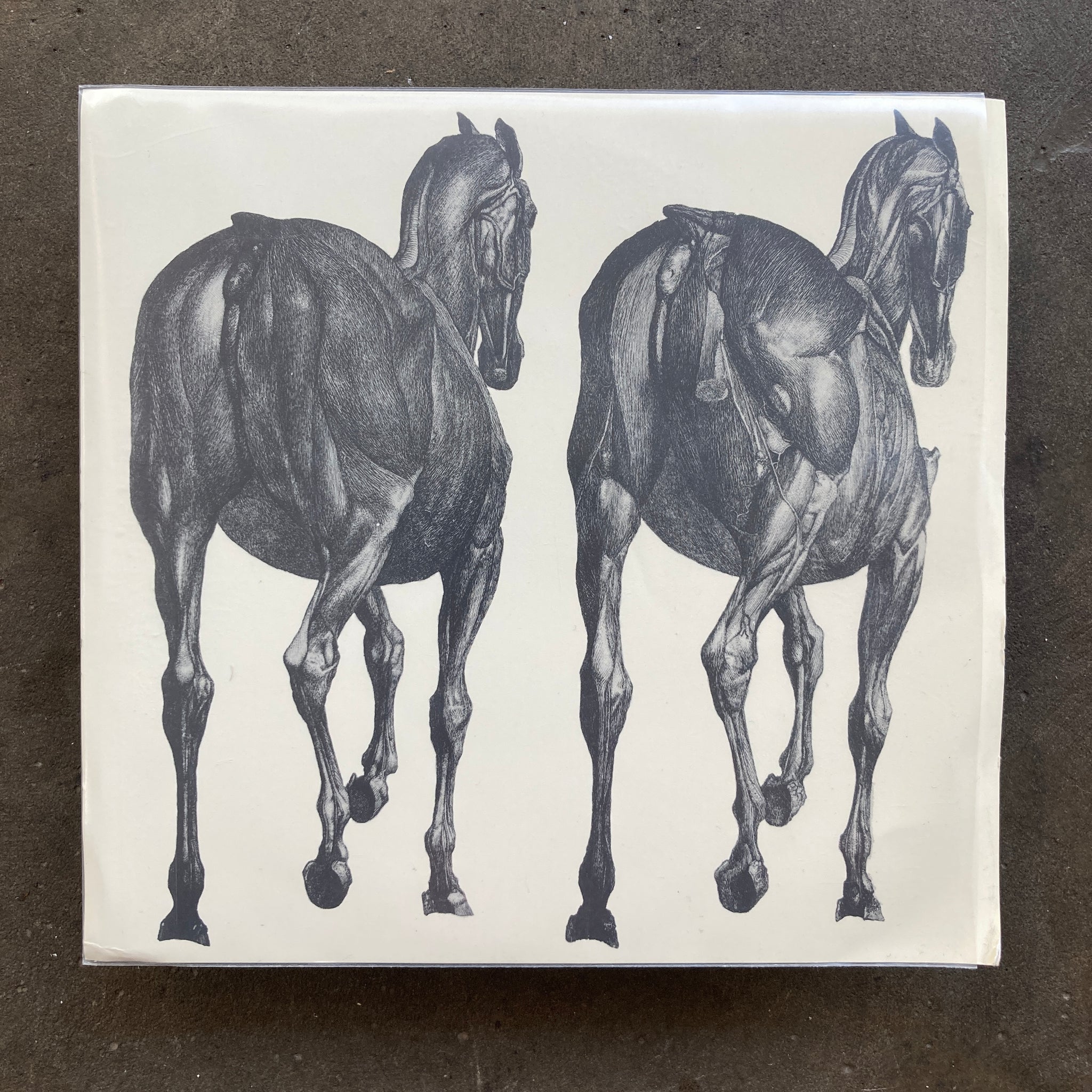 Pete Swanson / Moin – Positive / Elsie – All Night Flight Records